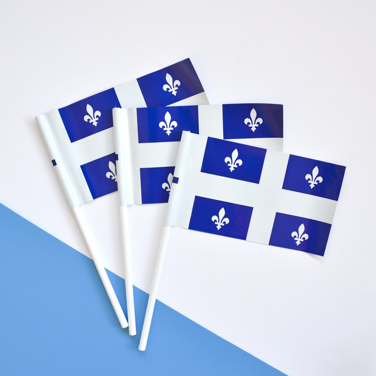 Drapeau du Québec en polyéthylène – Accent bleu du Québec